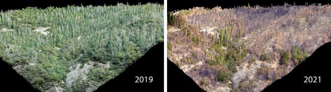 Monitoring Disaster Recovery From the Air with NEON | NSF NEON | Open ...