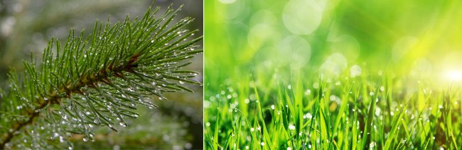 What's All This Dew Doing? Maybe More Than You Think | NSF NEON | Open ...