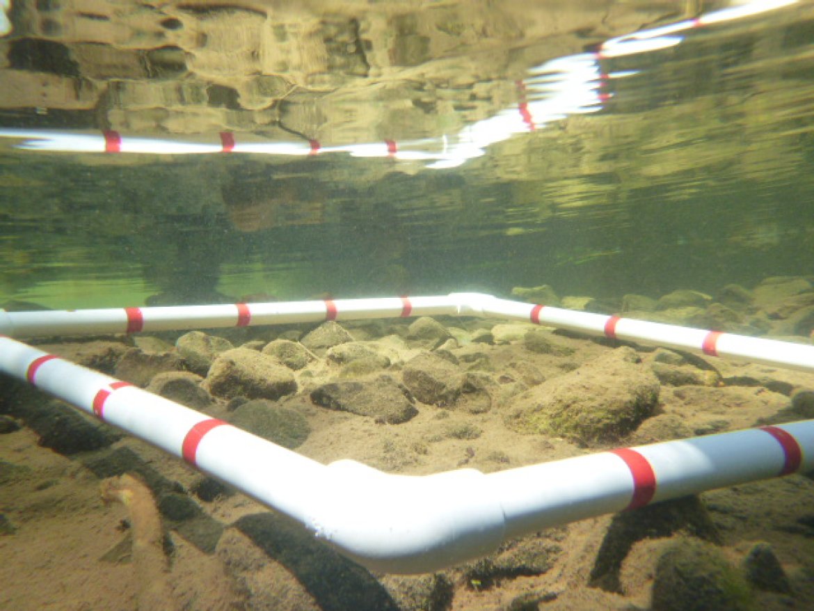 Sediments | NSF NEON | Open Data to Understand our Ecosystems