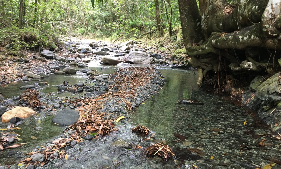 Hydrology & Geomorphology | NSF NEON | Open Data to Understand our ...