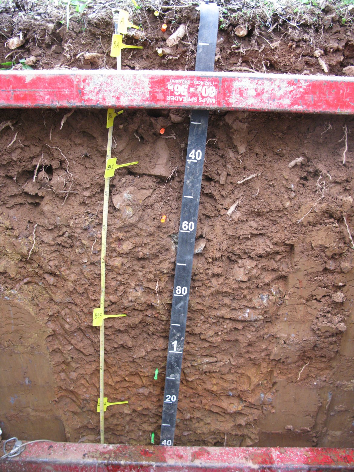 Smithsonian Conservation Biology Institute NEON (SCBI) Soil ...