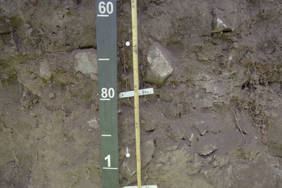 Yellowstone National Park NEON (YELL) Soil Descriptions | NSF NEON ...