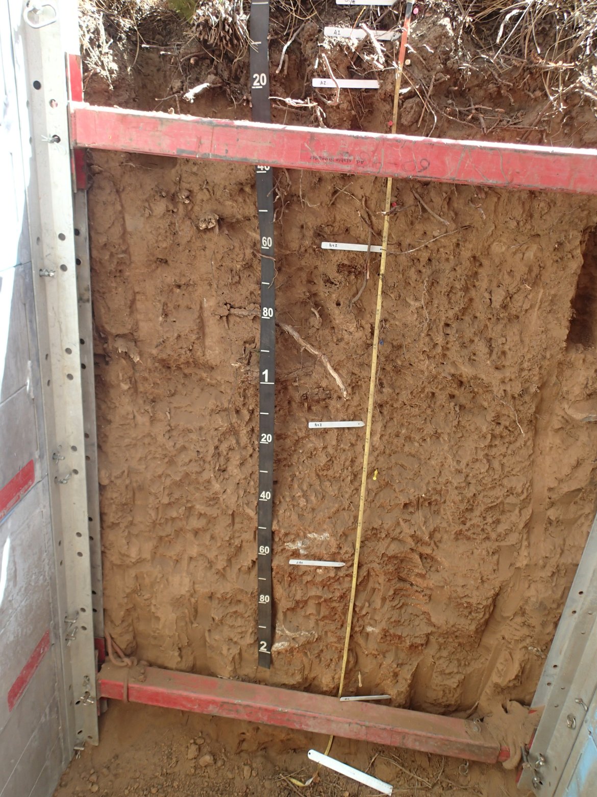 Soaproot Saddle NEON (SOAP) Soil Descriptions | NSF NEON | Open Data to ...