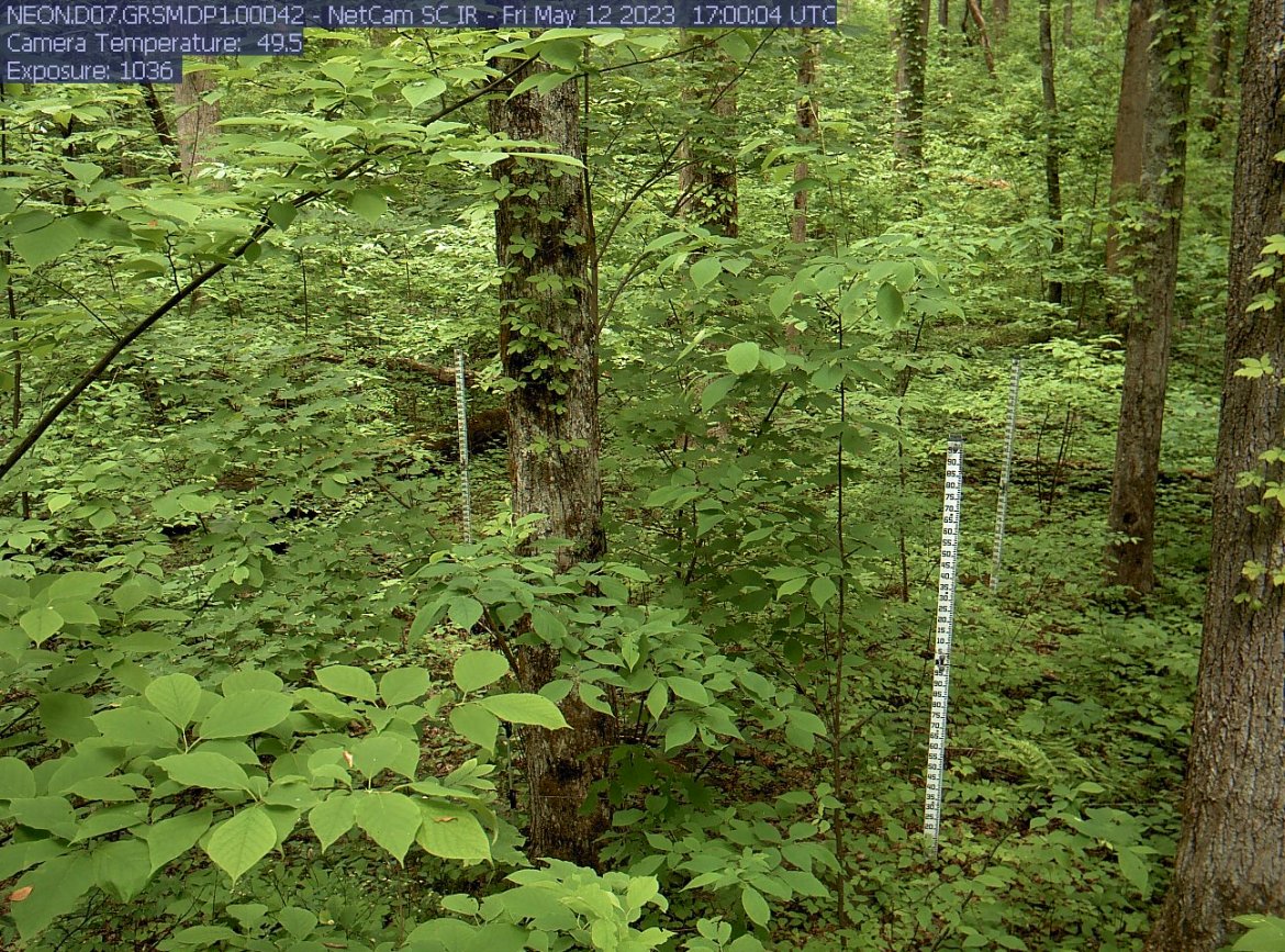 What Makes a Forest? Forested Field Sites Across the Observatory | NSF ...