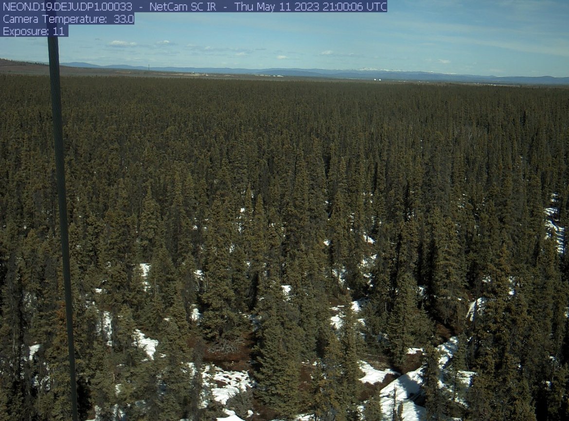 What Makes a Forest? Forested Field Sites Across the Observatory | NSF ...