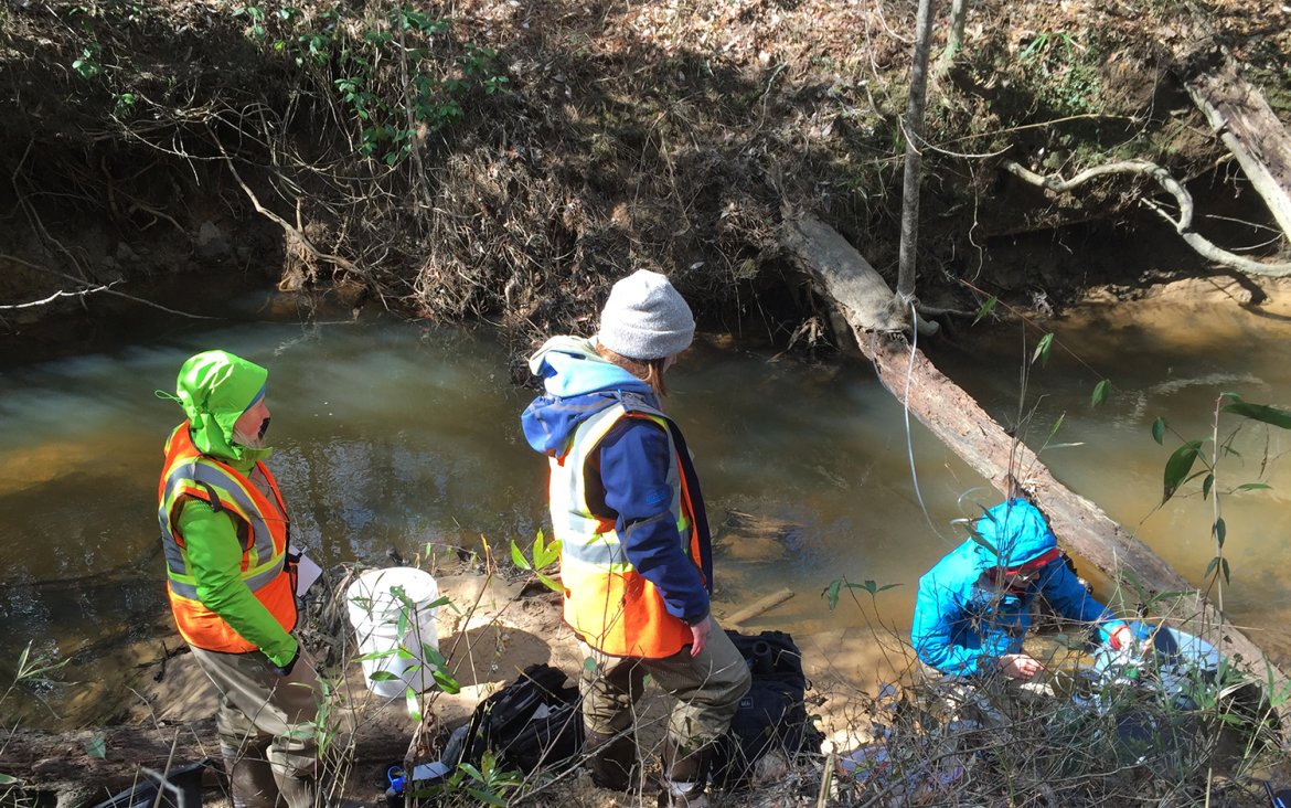 Testing muddy waters: protocol performance in Alabama wetlands | NSF ...
