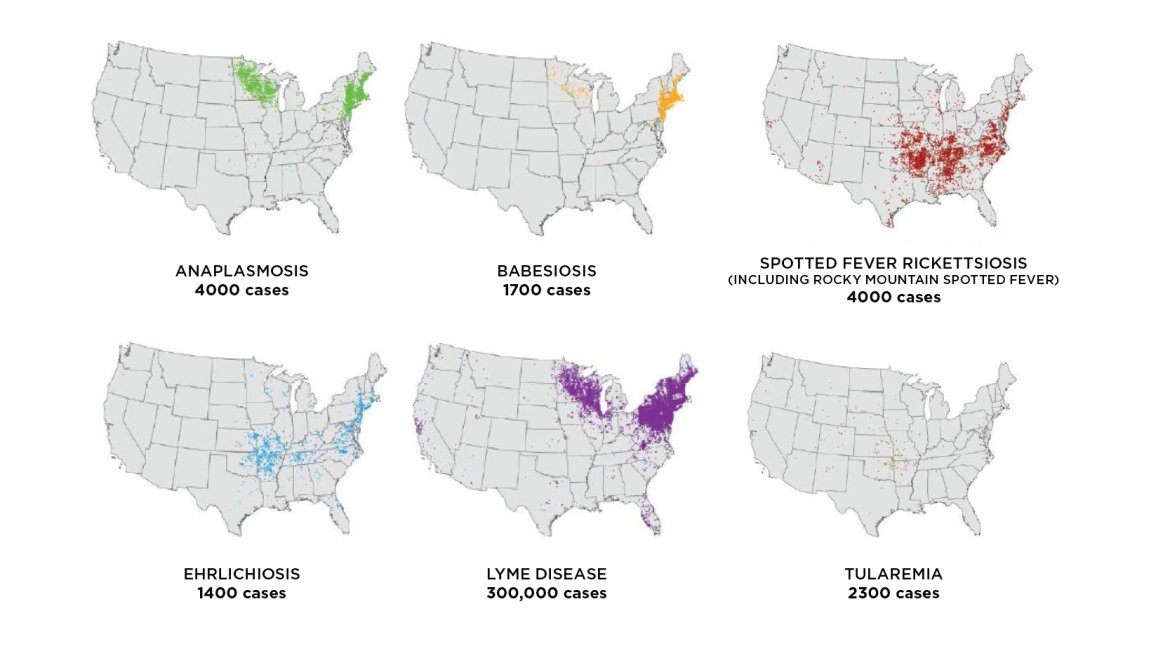 Ticks | NSF NEON | Open Data to Understand our Ecosystems